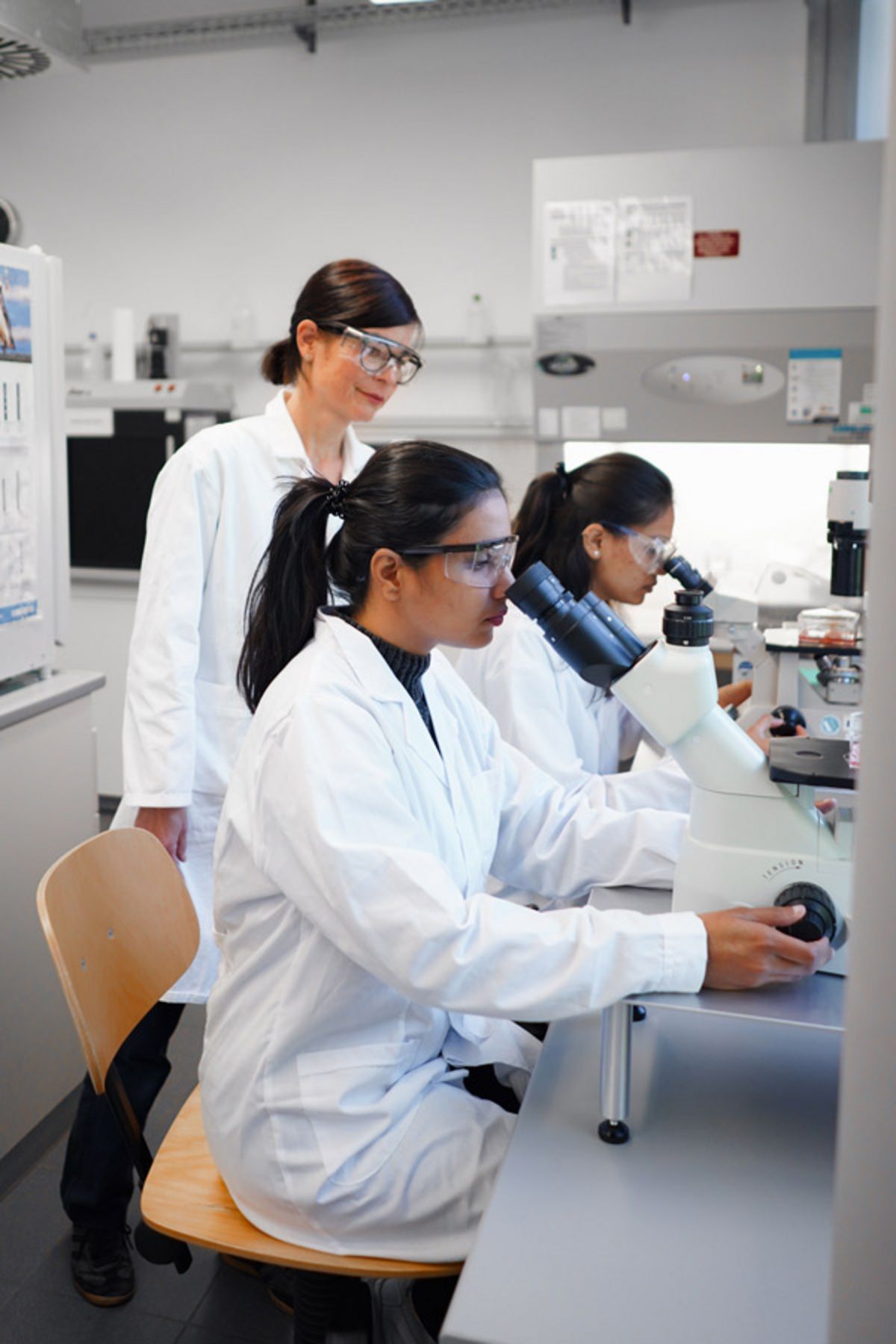 Ihr Karriereweg bei uns | Hochschule Ansbach