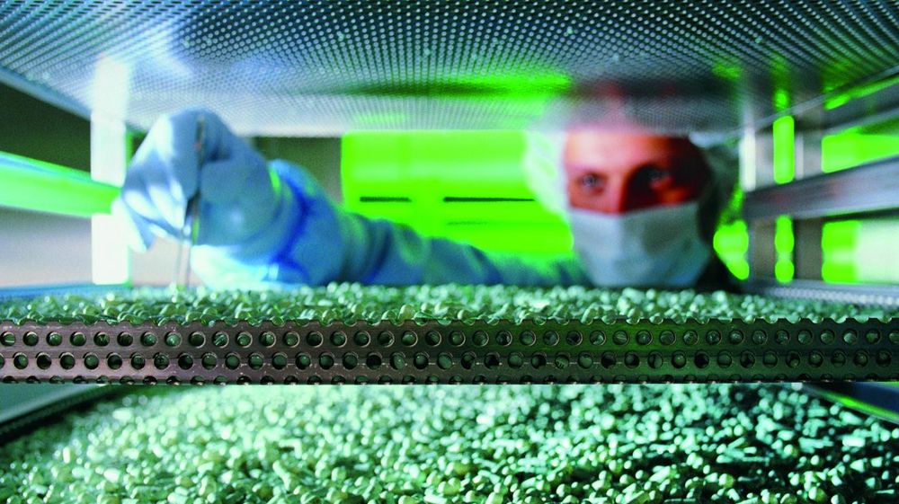 Industrielle Biotechnologie | Hochschule Ansbach