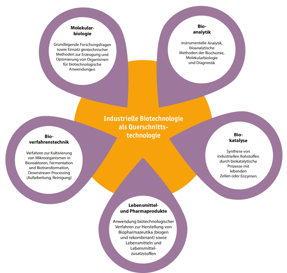 Industrielle Biotechnologie | Hochschule Ansbach